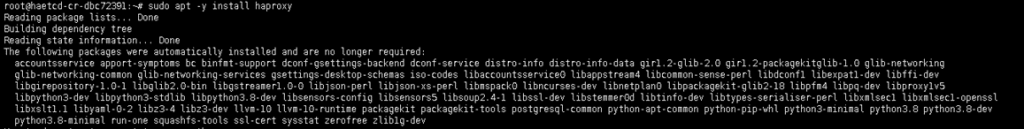 Set Up High Availability Postgresql Cluster Using Patroni On Serverstadium 4095