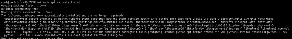 Set Up High Availability PostgreSQL Cluster Using Patroni on ServerStadium