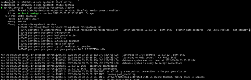 Set Up High Availability PostgreSQL Cluster Using Patroni on ServerStadium